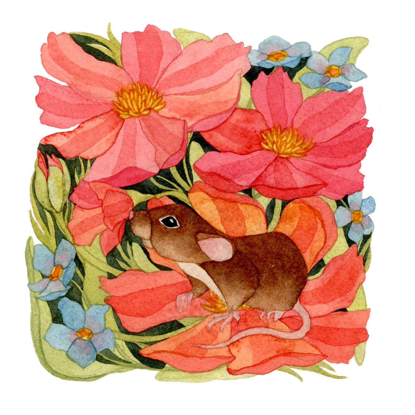 conservation illustration - Megan Murrell Illustration