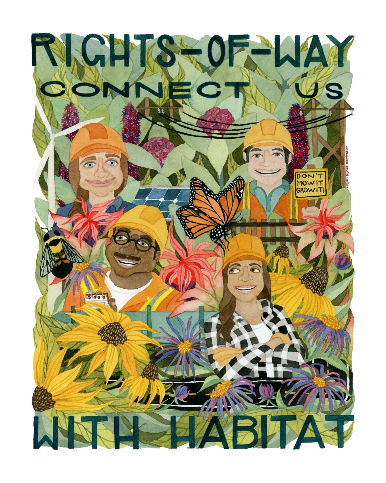 conservation illustration - Megan Murrell Illustration