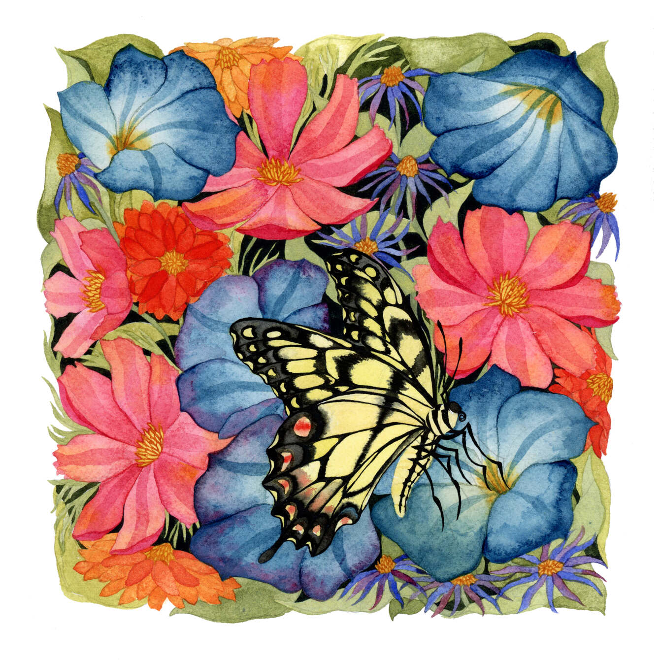 conservation illustration - Megan Murrell Illustration