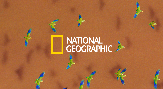 National Geographic - Fusionhouse