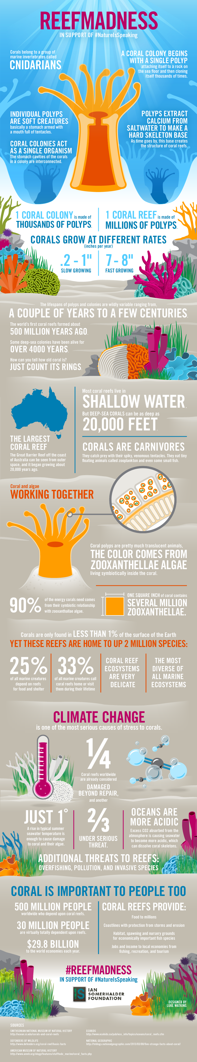 Reef Madness Infographic - Luke Watkins