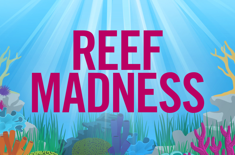 Reef Madness Infographic - Luke Watkins