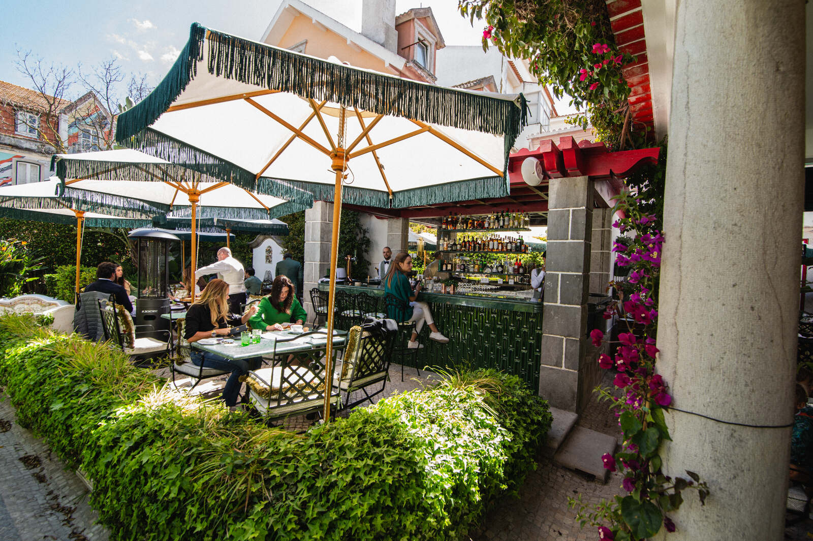 Bougain - Inês Moura