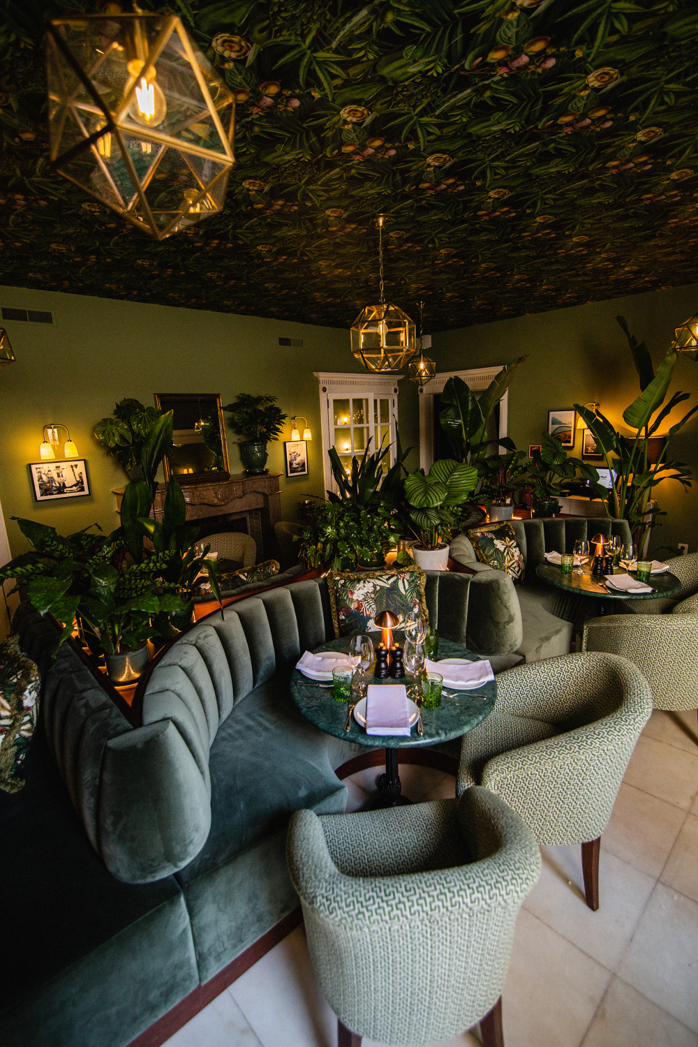 Bougain - Inês Moura