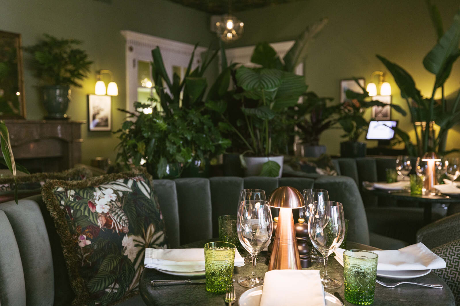 Bougain - Inês Moura