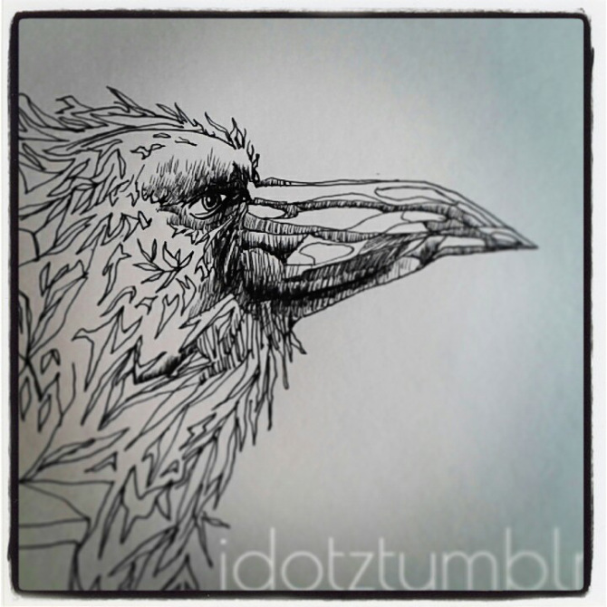 ILLUSTRATIONS - Joshua Dotson