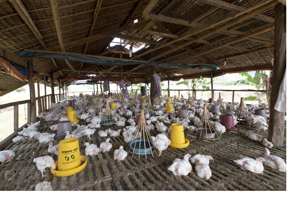 Iwahig Prison & Penal Farm; a prison without walls - Behind the Faces