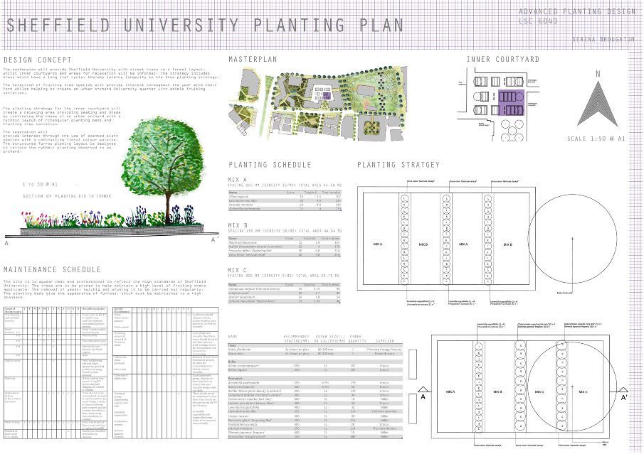 University campus planting design - Serena Broughton