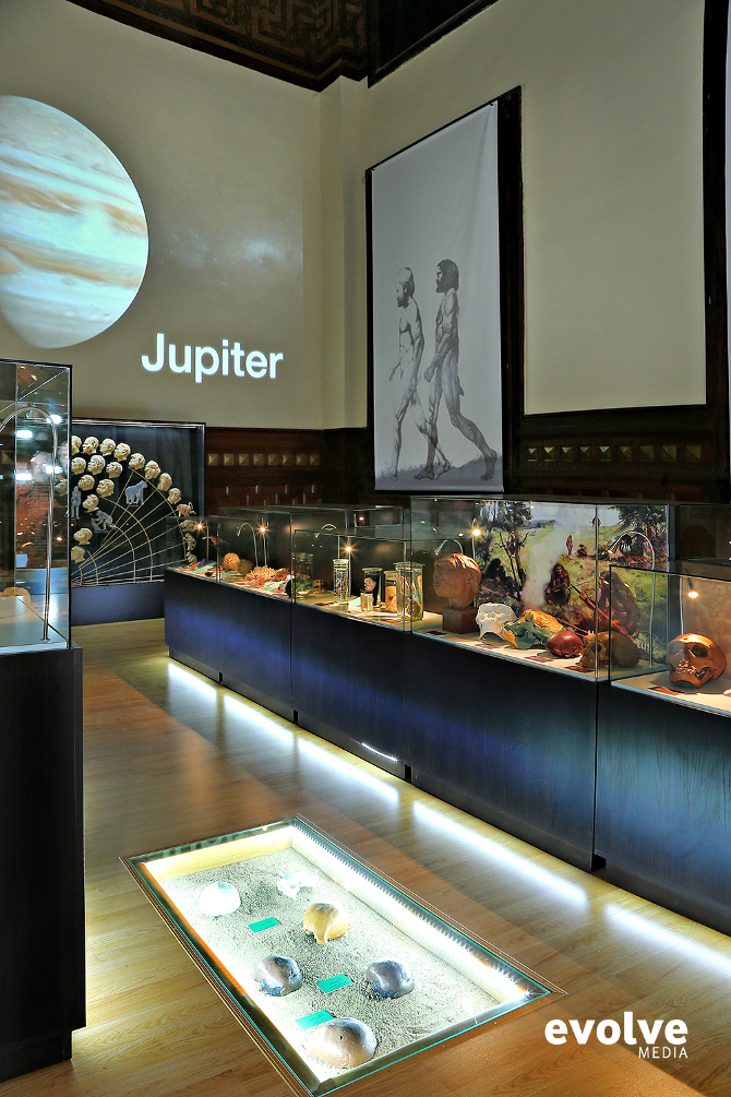 Museum of Man exhibition design - evolve media