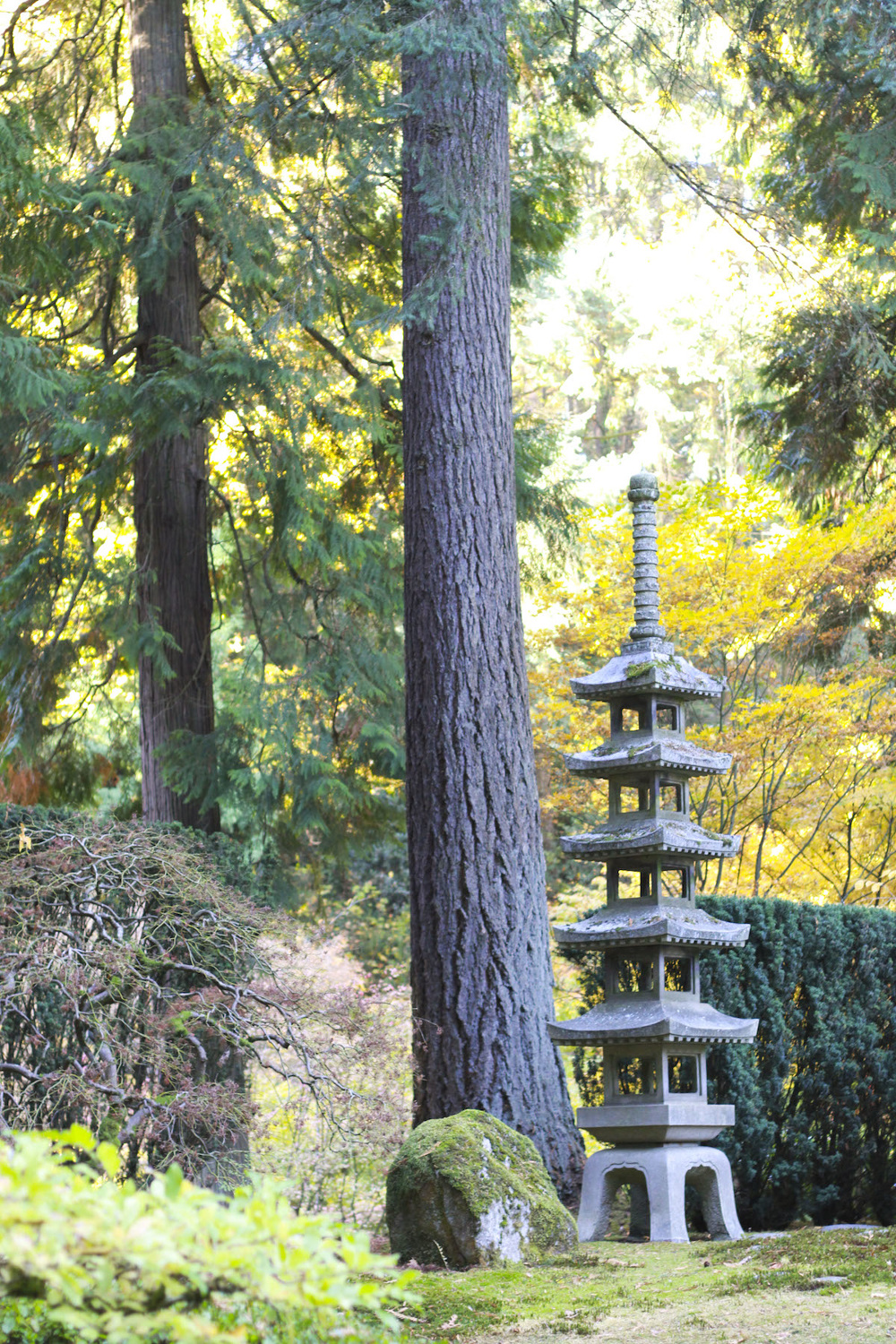 Portland Japanese Gardens - Sarah Ostaszewski