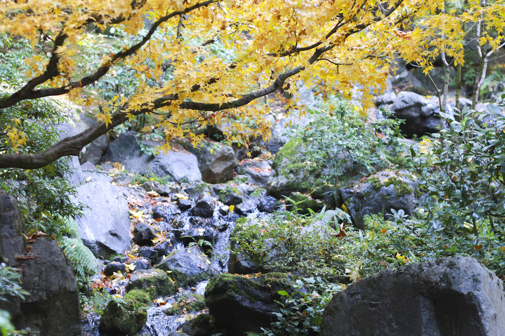 Portland Japanese Gardens - Sarah Ostaszewski