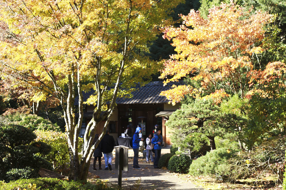 Portland Japanese Gardens - Sarah Ostaszewski