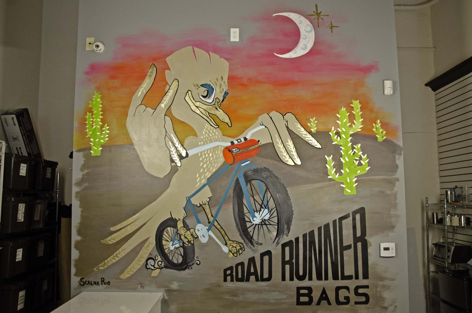 Road Runner Mural - Rio Please Help Us