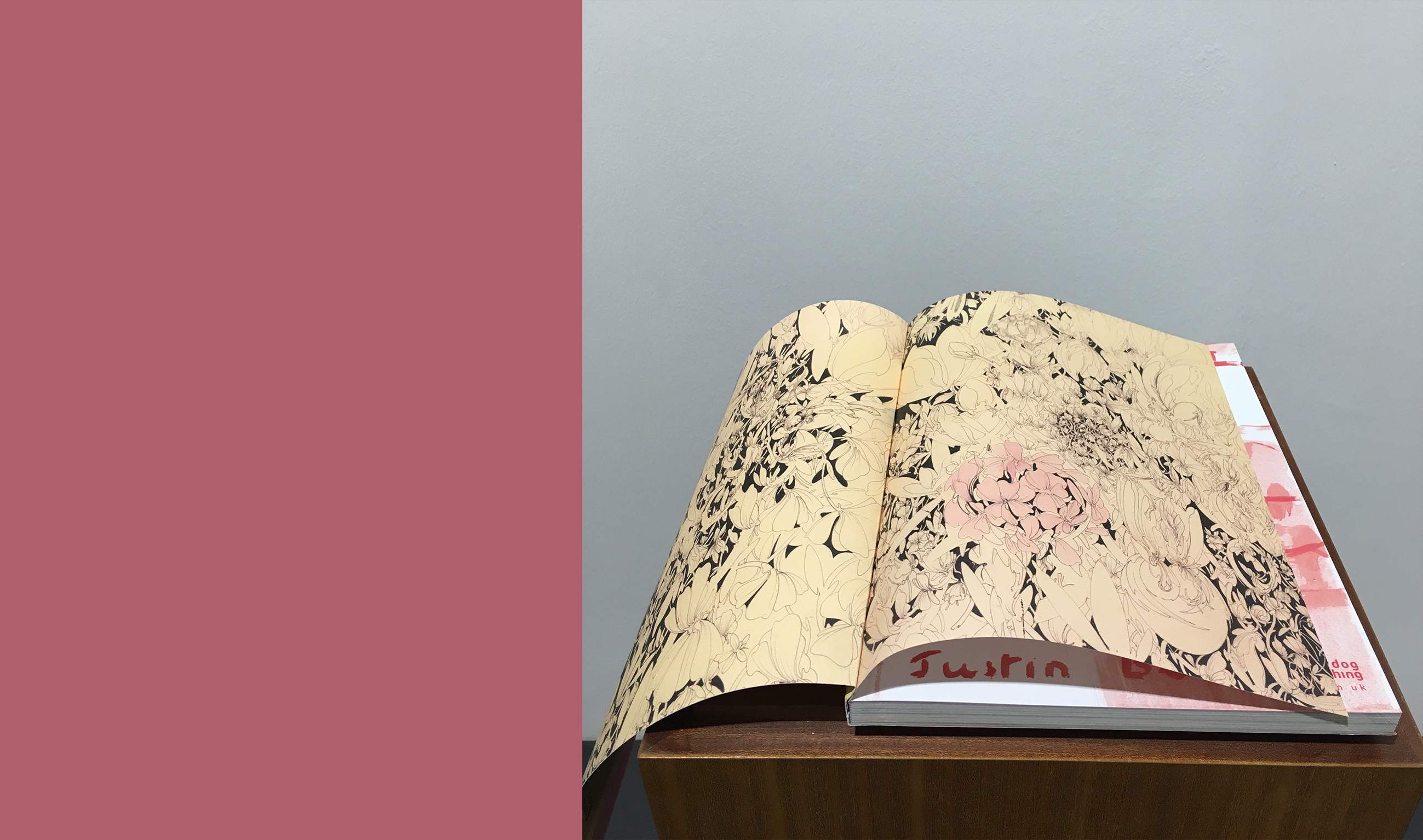 Book - Simon English