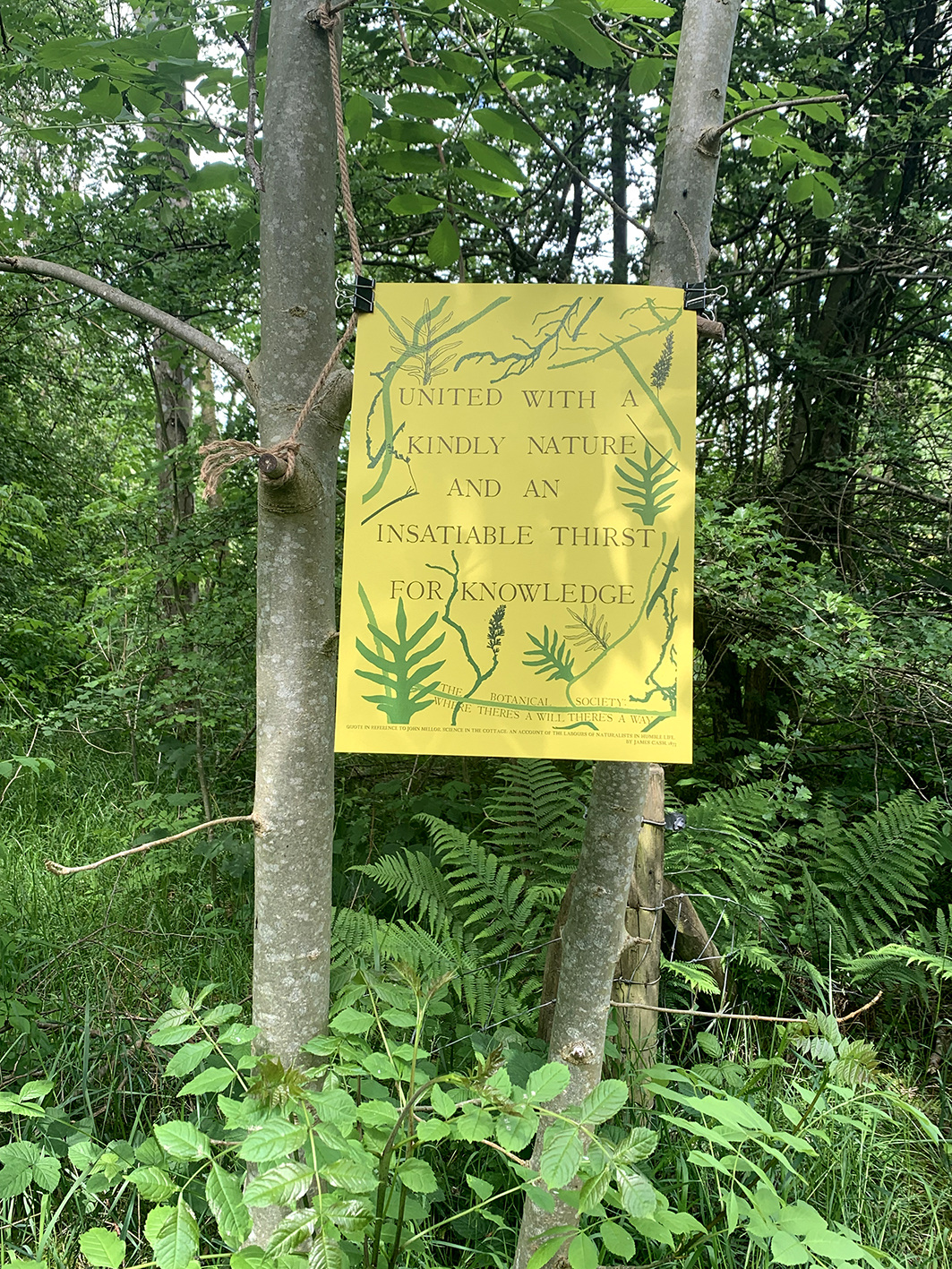 The Botanical Society - Helen Mather