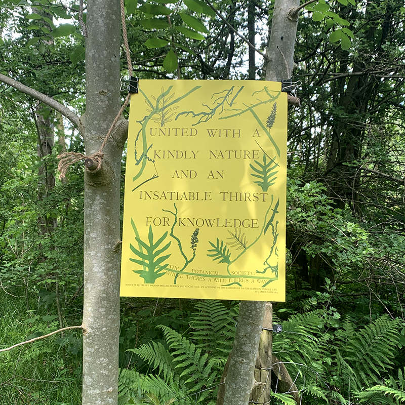 The Botanical Society - Helen Mather