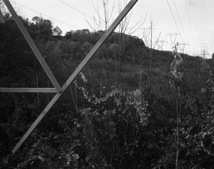 The Hudson Project - Jason Krinsky