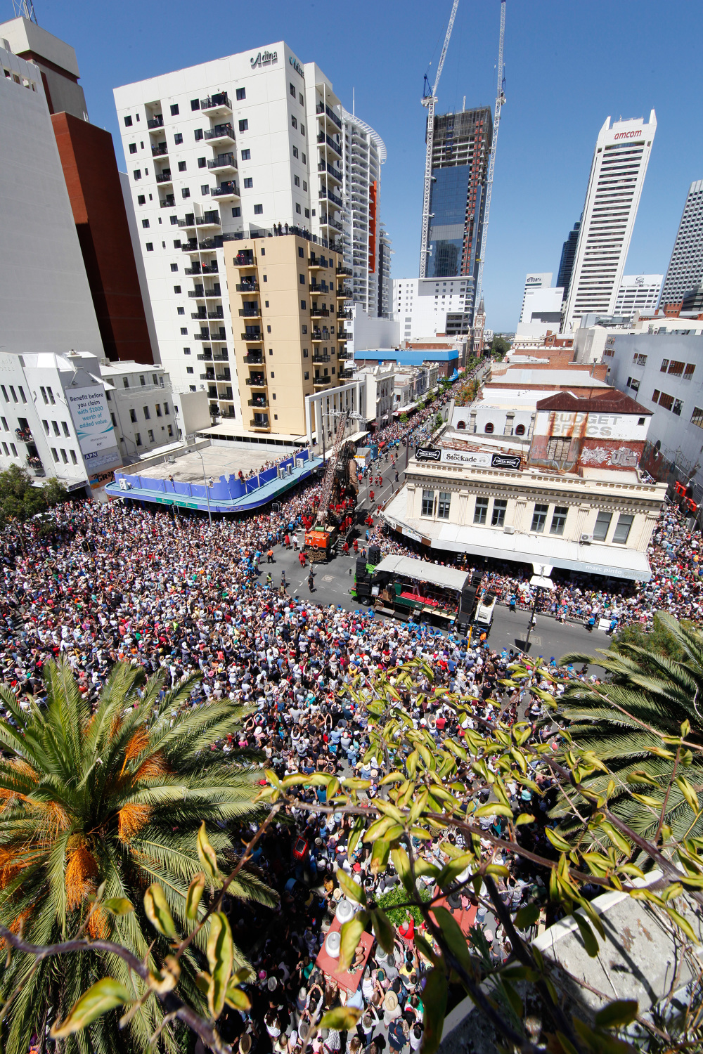 The Giants Perth - Cam Campbell