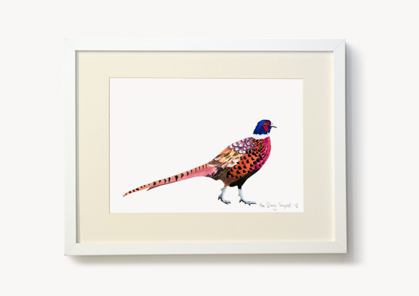 Pheasant - Daisy Tempest