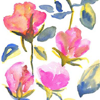 Kingfisher - Daisy Tempest