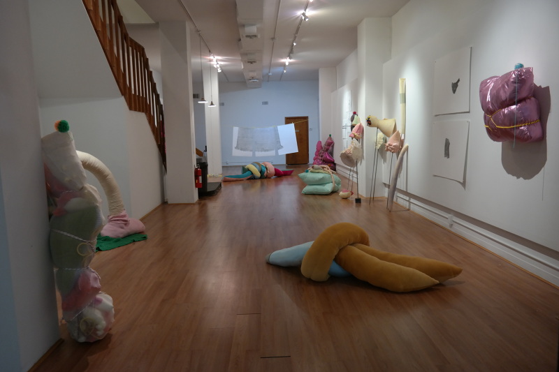 body pillow - Bethany Moody