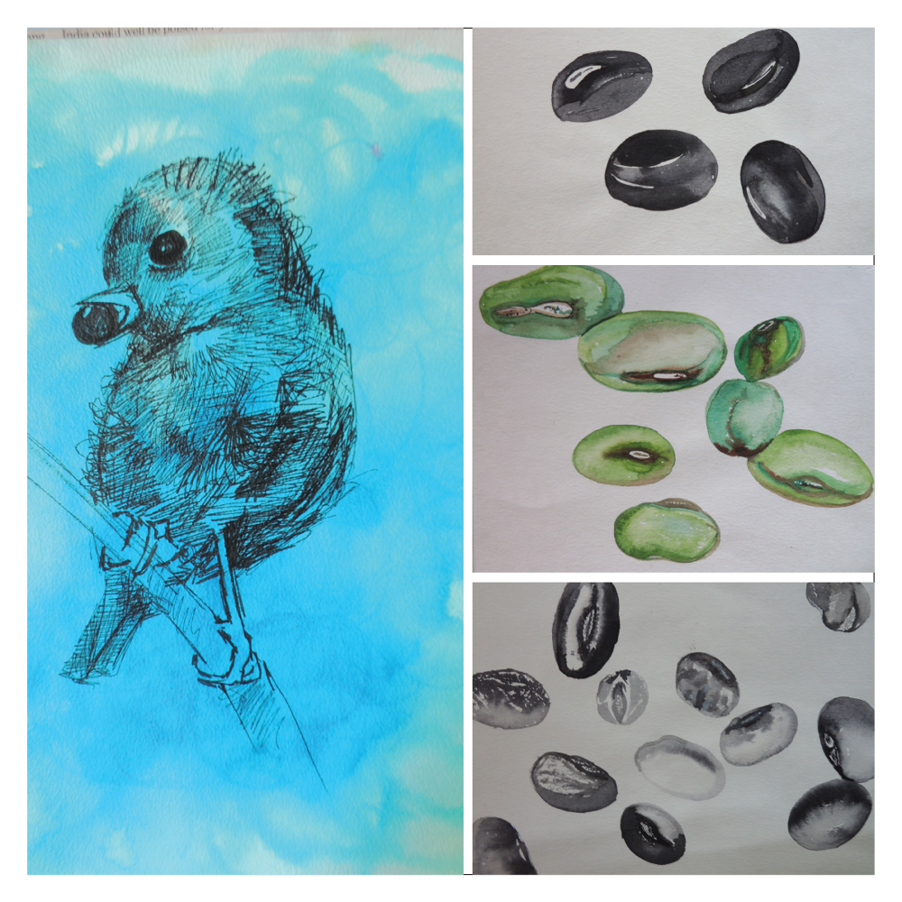 C H A B U T A R O - 2