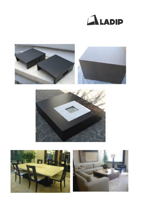 Proyectos LADIP / LADIP Projects - Ariadna Alonso