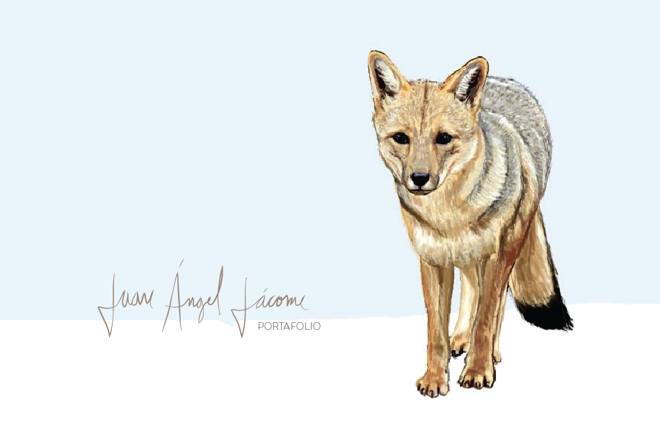 juan angel jacome portafolio