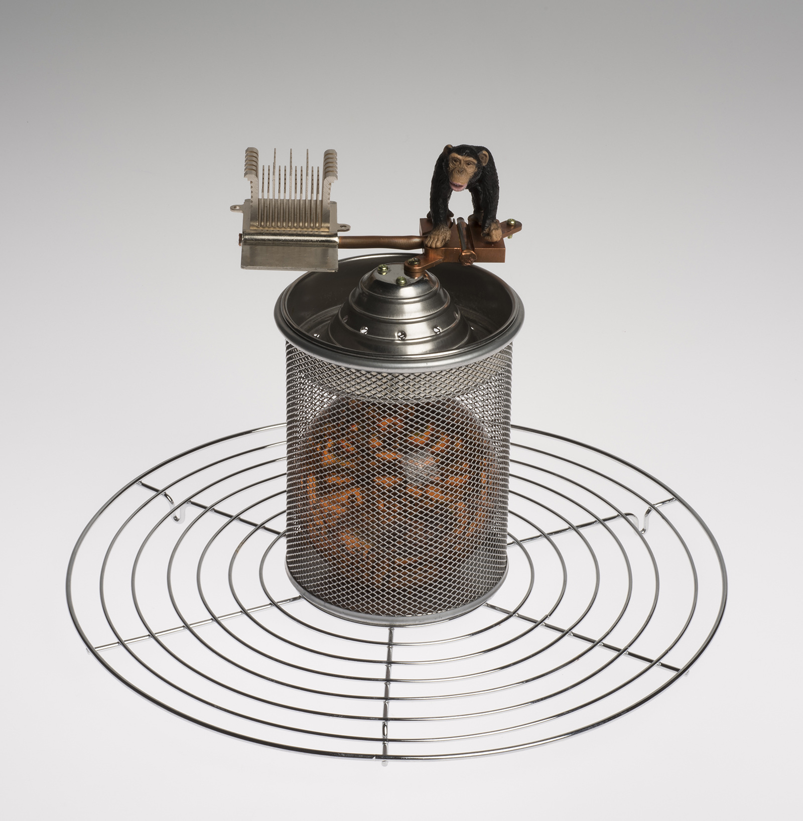 Zoo Poetics - Stane Jagodič