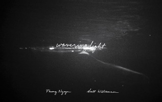 Wavering Light - mononymic