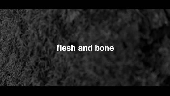 Flesh and Bone - Liam J. McLaughlin Artist
