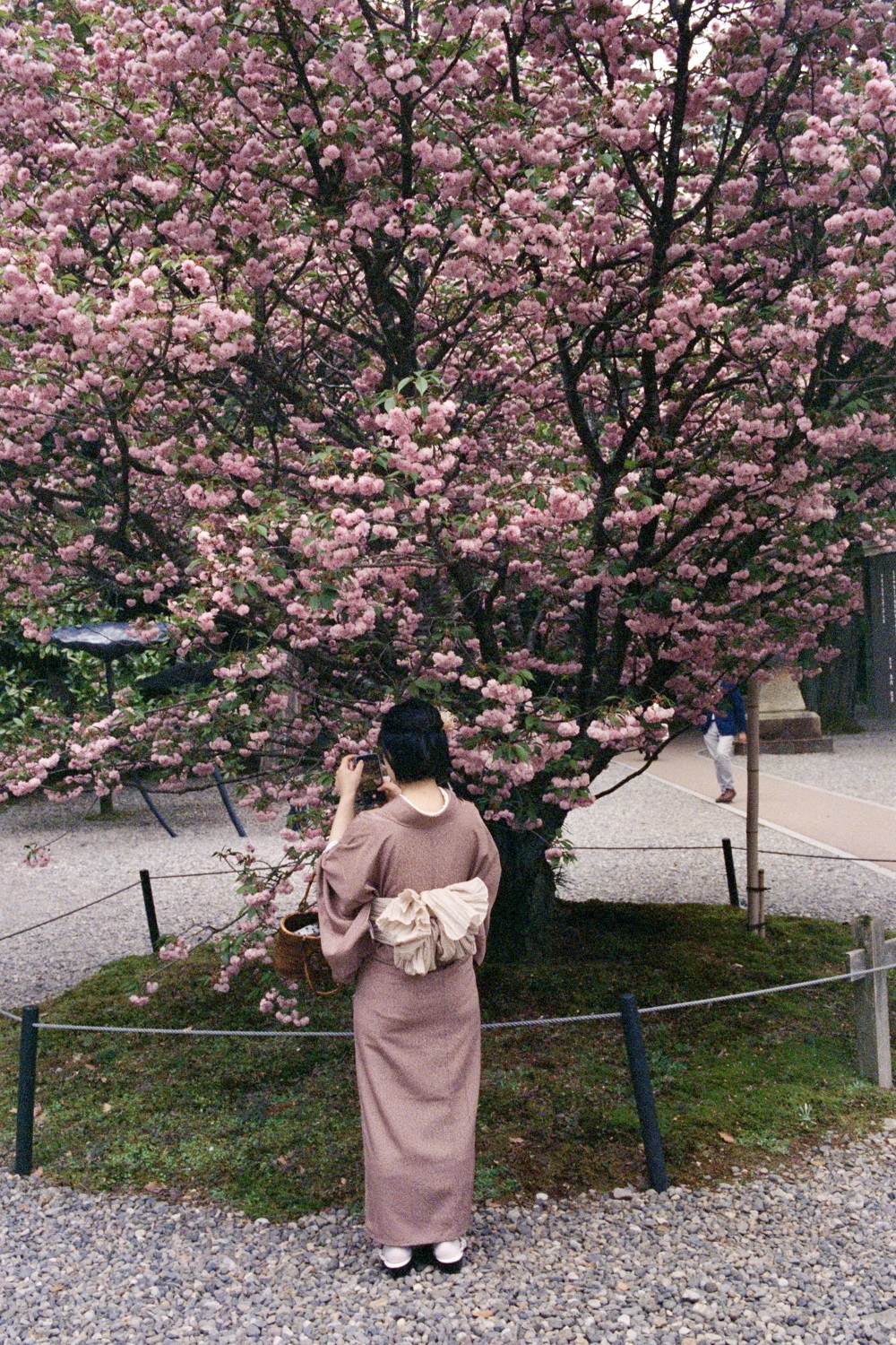 gabriele pagani