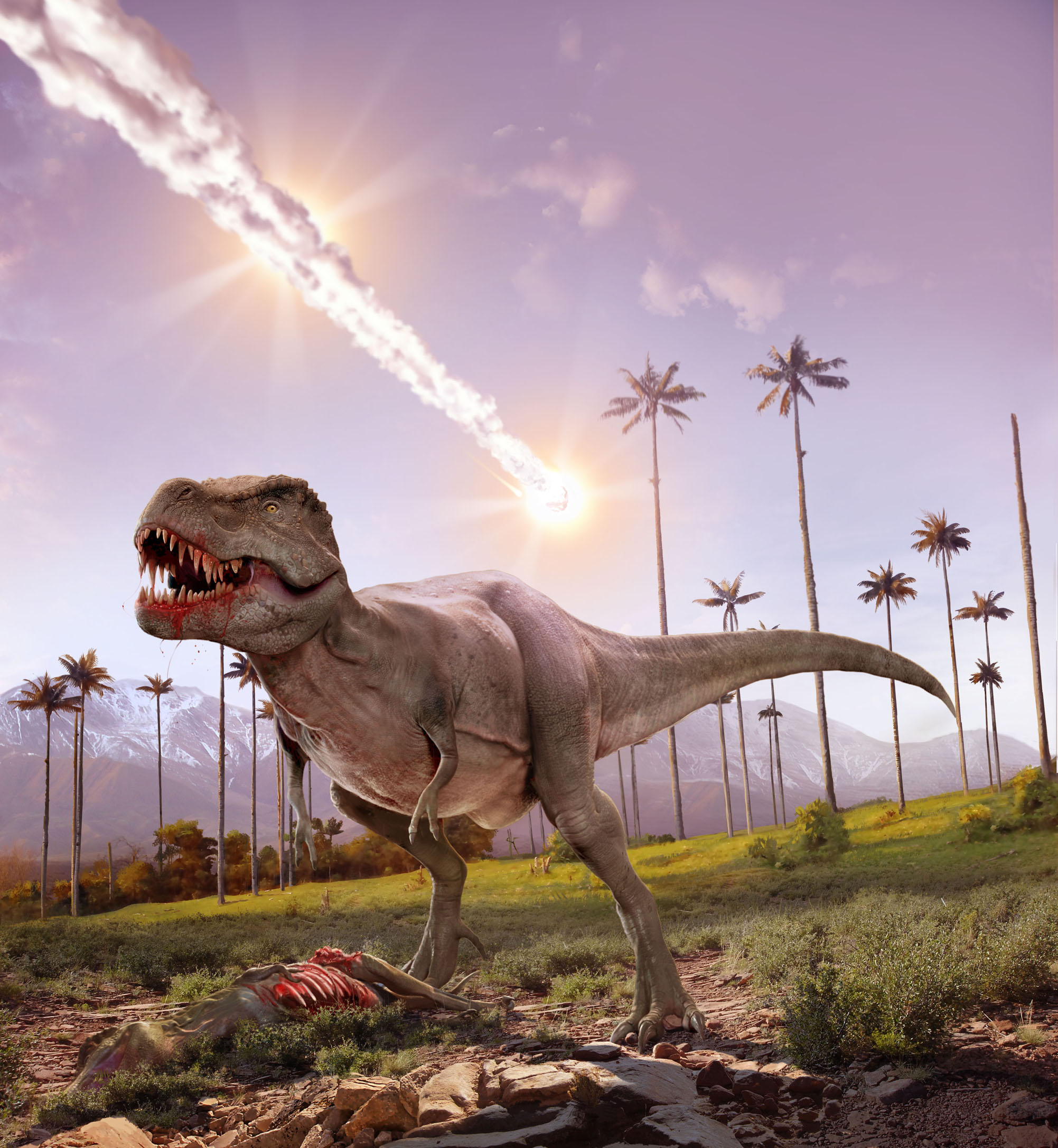 ZBRUSH + photoshop EXPERIENCE - sattu illustrations