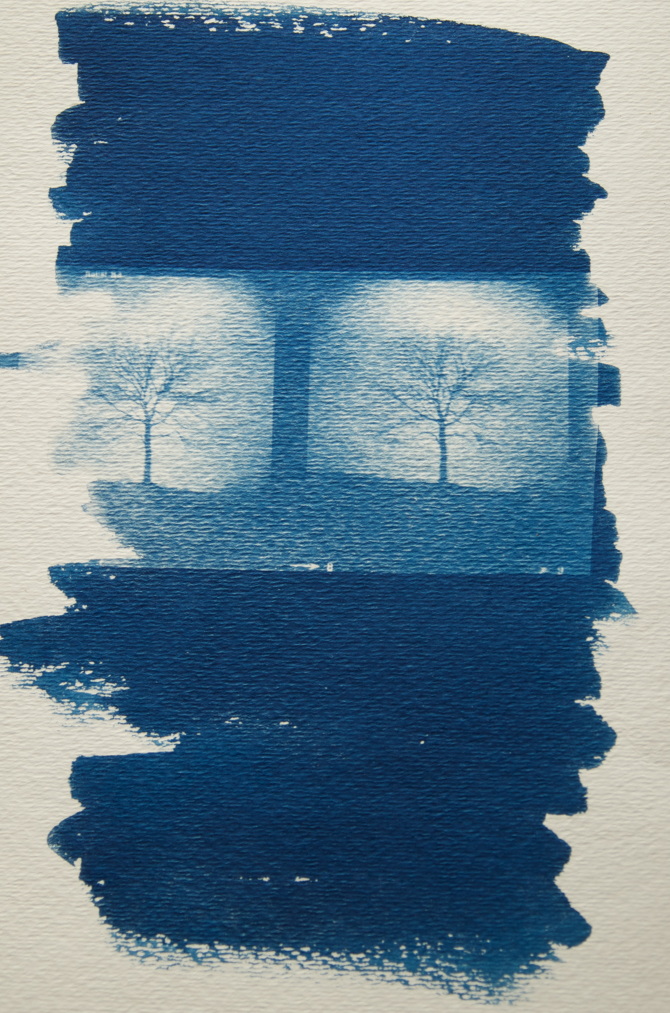 Cyanotype, Pinhole and Medium Format - Nathalie M Harris Photography