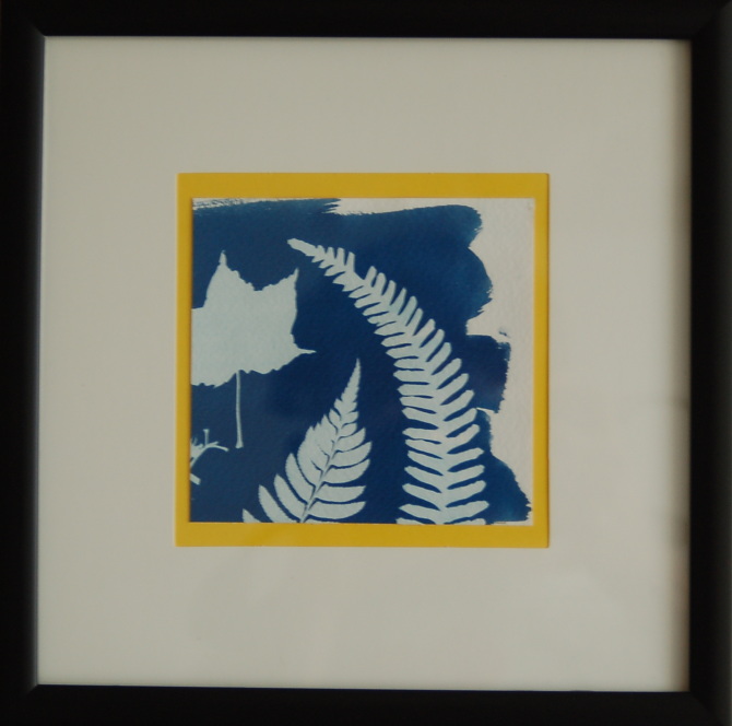 Cyanotype, Pinhole and Medium Format - Nathalie M Harris Photography