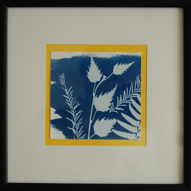 Cyanotype, Pinhole and Medium Format - Nathalie M Harris Photography