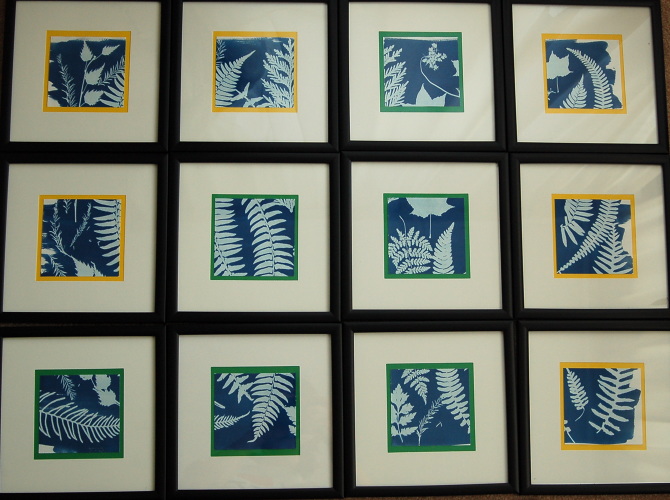 Cyanotype, Pinhole and Medium Format - Nathalie M Harris Photography