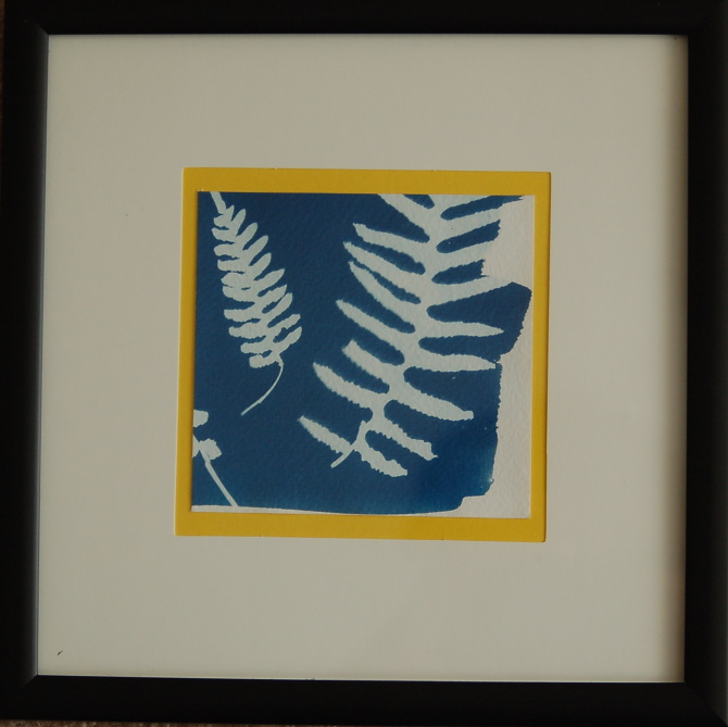 Cyanotype, Pinhole and Medium Format - Nathalie M Harris Photography