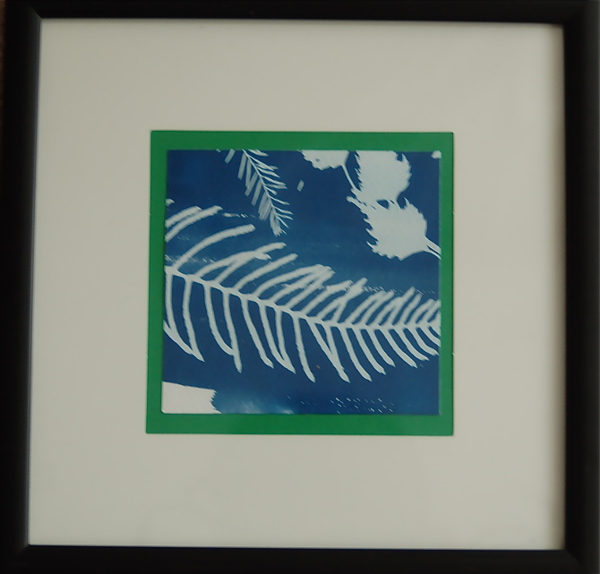 Cyanotype, Pinhole and Medium Format - Nathalie M Harris Photography