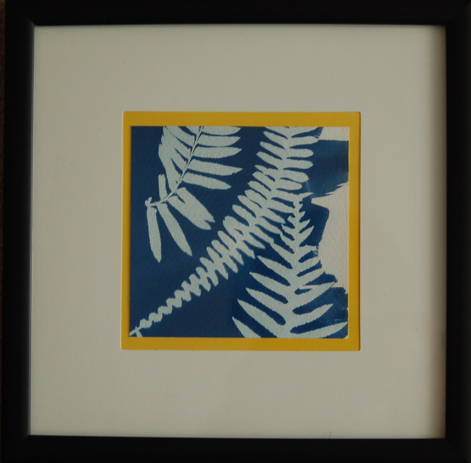 Cyanotype, Pinhole and Medium Format - Nathalie M Harris Photography