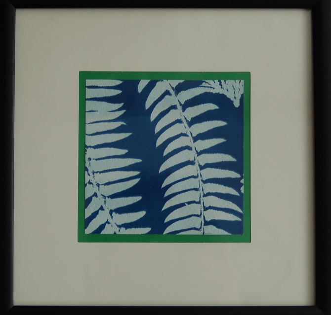 Cyanotype, Pinhole and Medium Format - Nathalie M Harris Photography