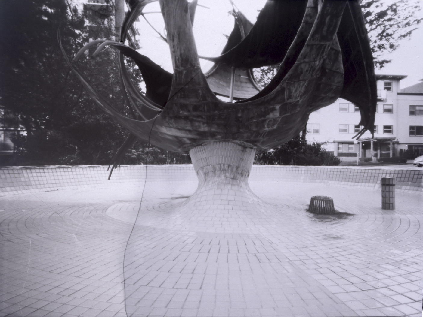 Cyanotype, Pinhole and Medium Format - Nathalie M Harris Photography