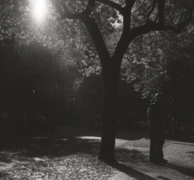 Cyanotype, Pinhole and Medium Format - Nathalie M Harris Photography