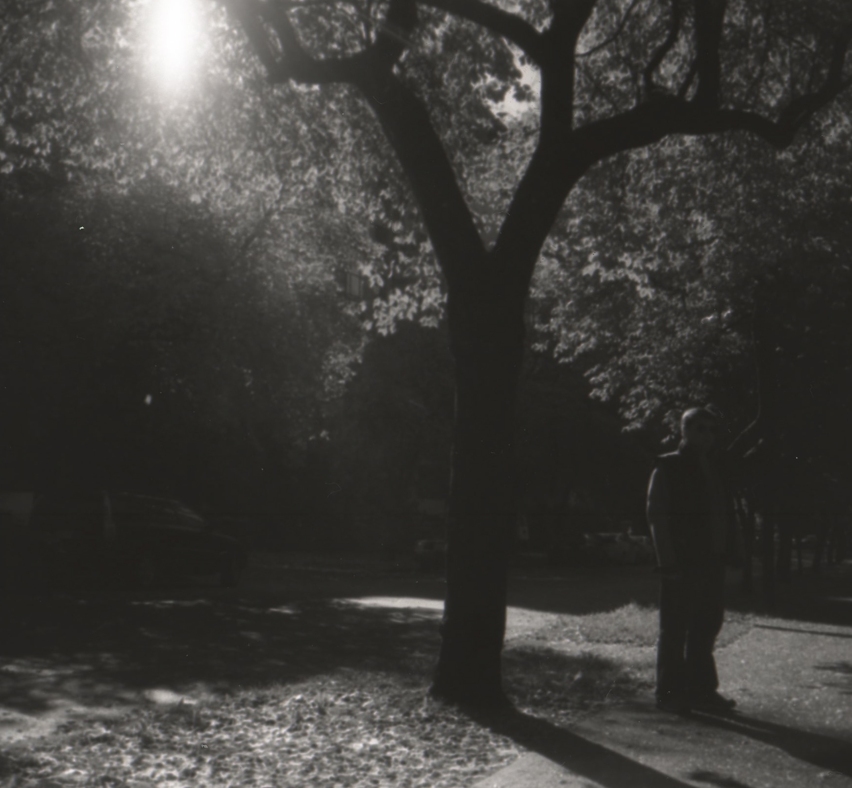 Cyanotype, Pinhole and Medium Format - Nathalie M Harris Photography