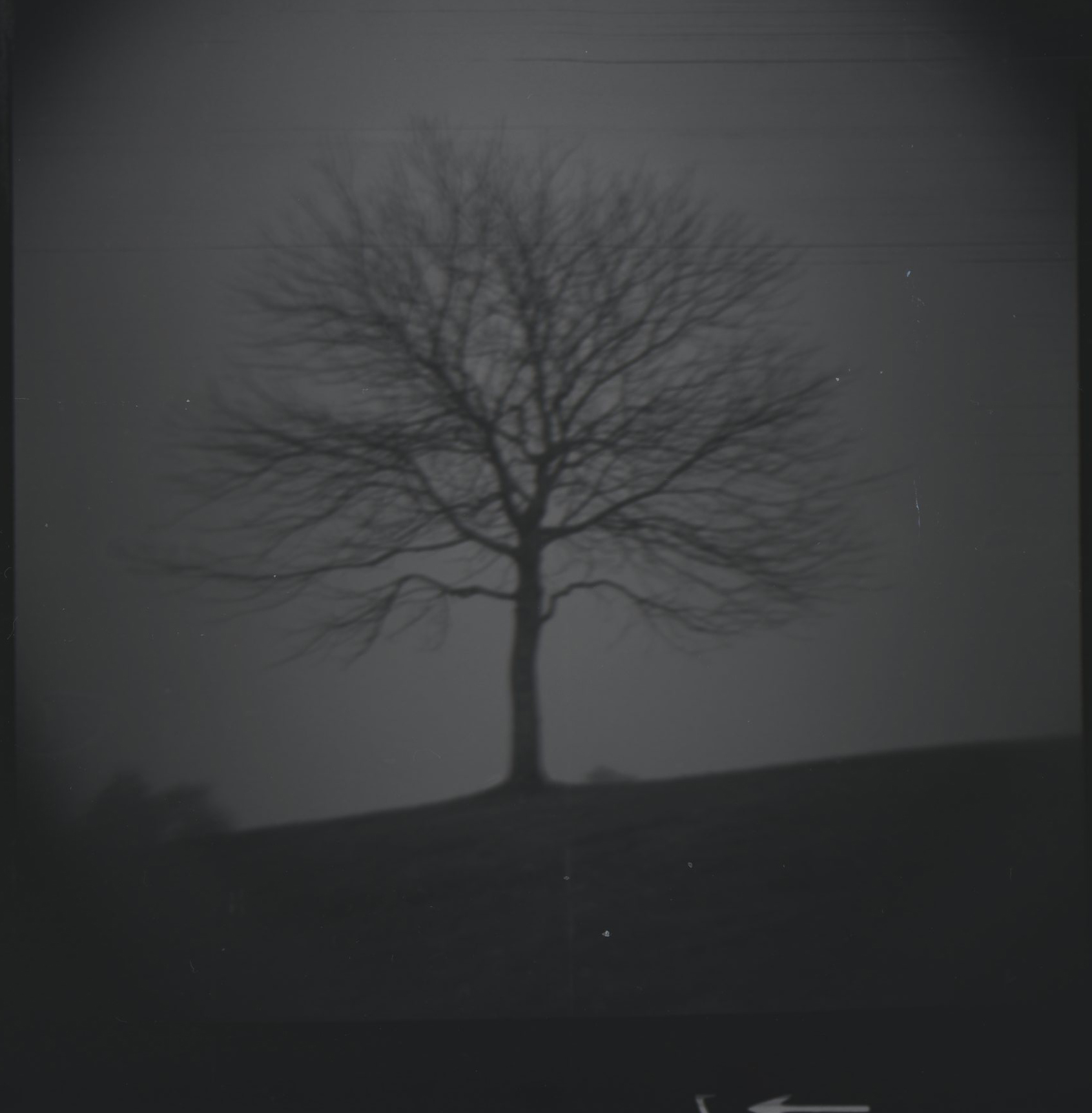 Cyanotype, Pinhole and Medium Format - Nathalie M Harris Photography