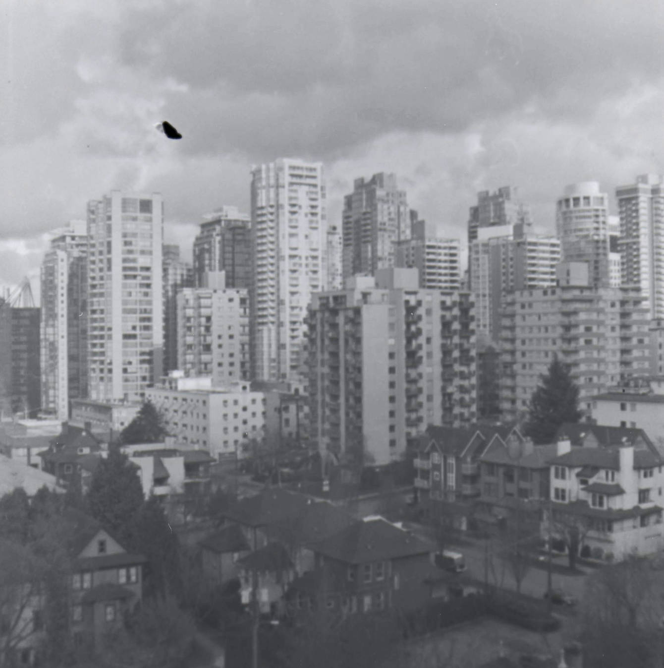 Cyanotype, Pinhole and Medium Format - Nathalie M Harris Photography