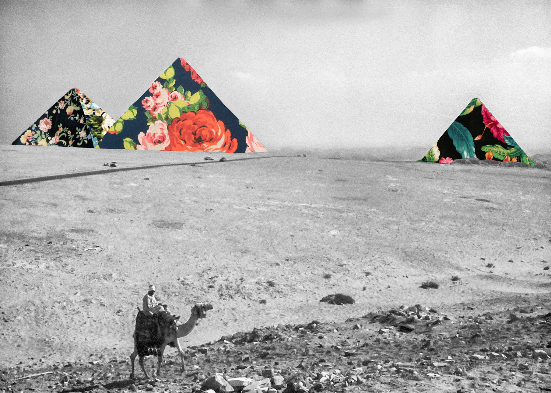 Collages. - Guy Catling