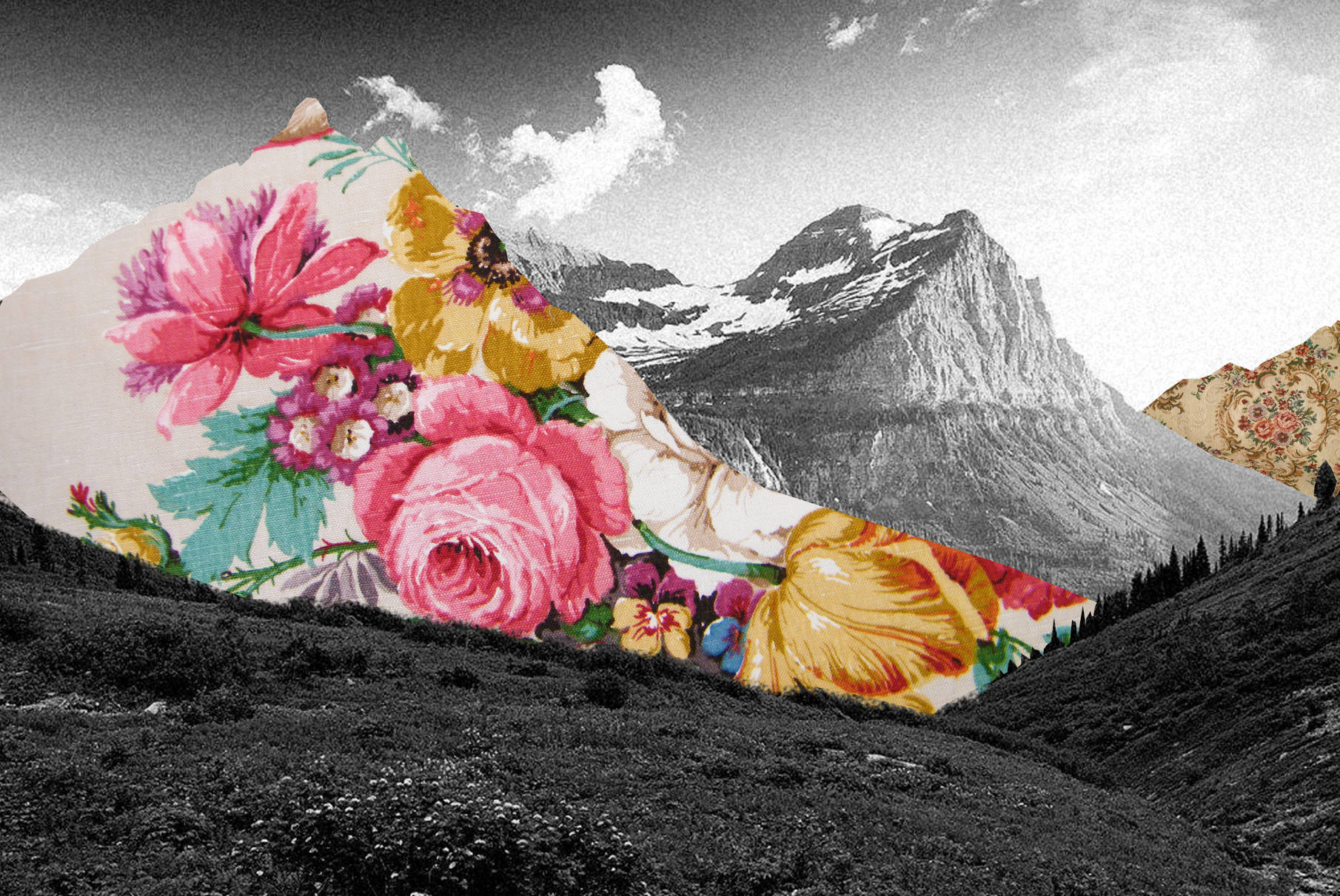 Collages. - Guy Catling
