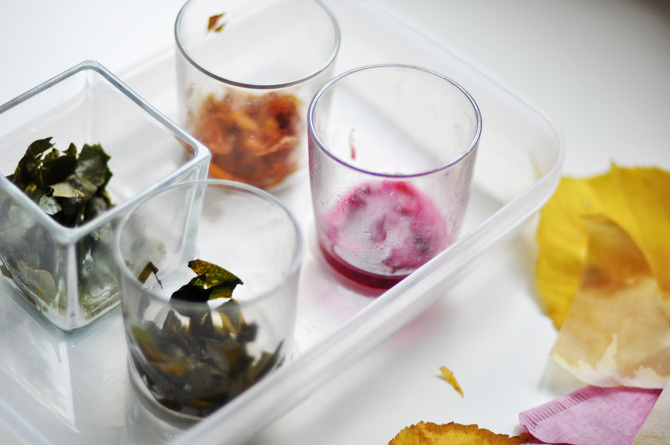 Chlorophyll - LAURA DAZA