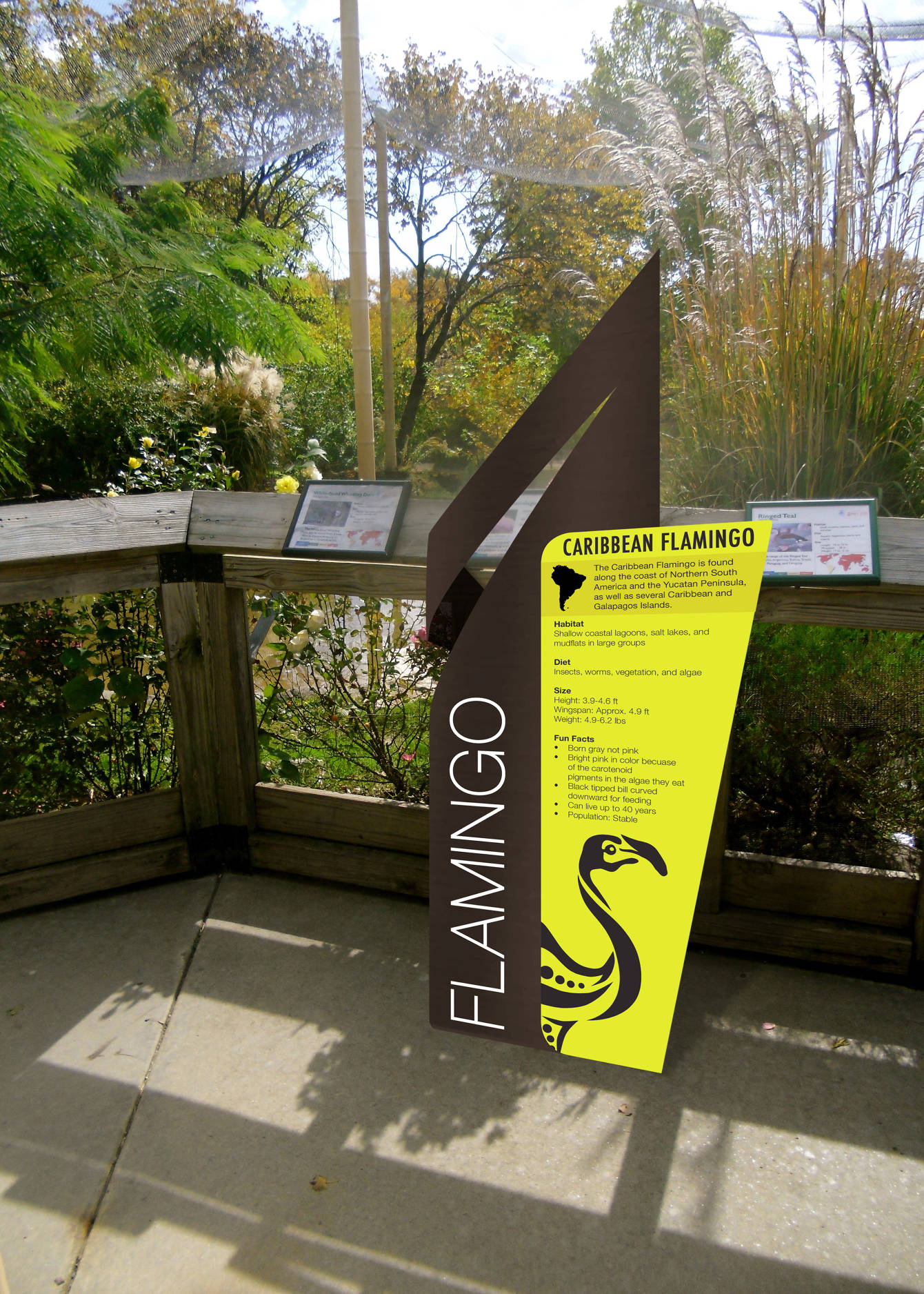 Zoo Wayfinding - Shelby Lueckenotto